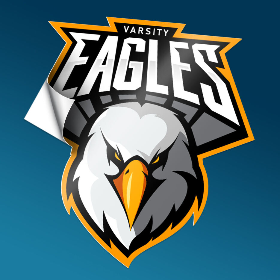 Custom Bike Stickers - Print Personalized Design | PrintPlace